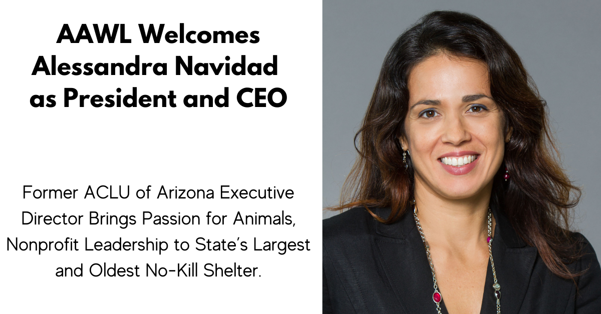 Introducing AAWL's Incoming President and CEO: Alessandra Navidad ...